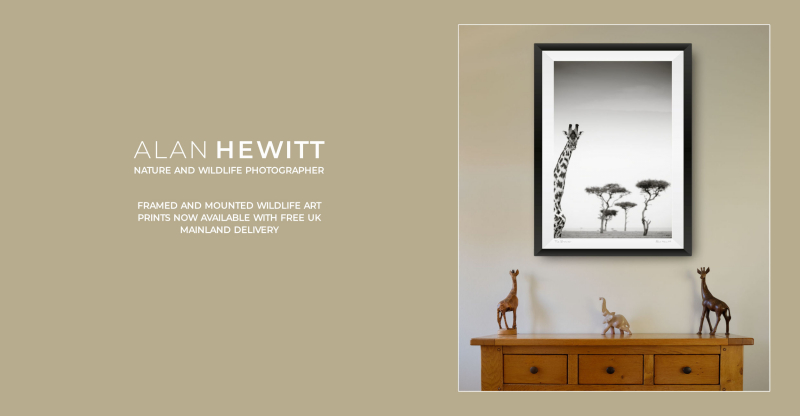 Alan Hewitt Photography